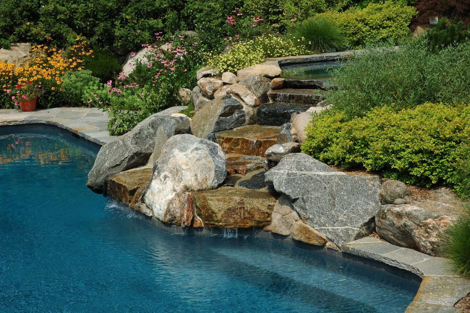 The Return of Natural Pools: Recreating a Slice of Paradise