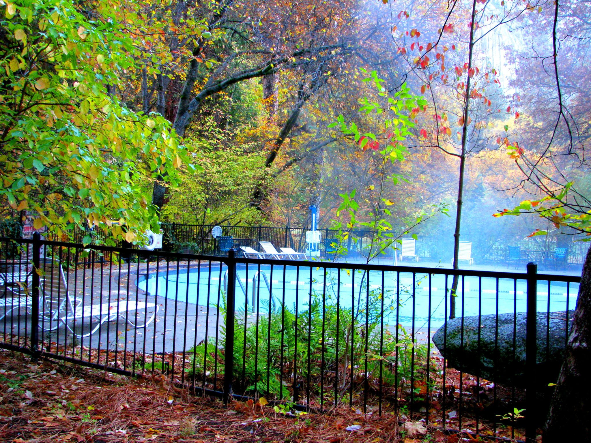 Embrace the Chill: Extending Your Pool Season into Autumn